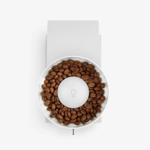 Fellow Opus | Coffee Grinders | I Love Coffee Beans HK